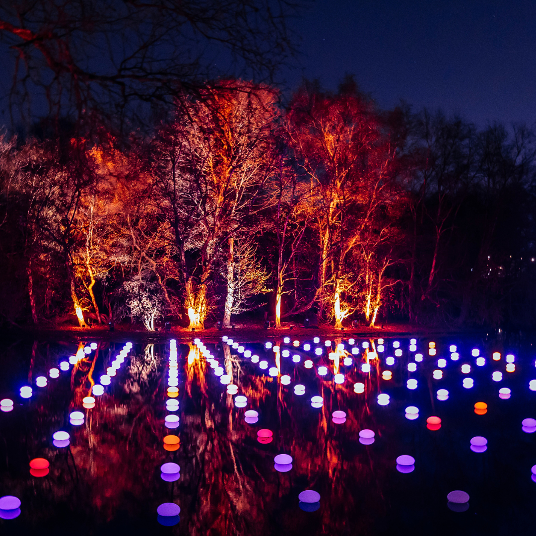 Home - Northern Lights Manchester