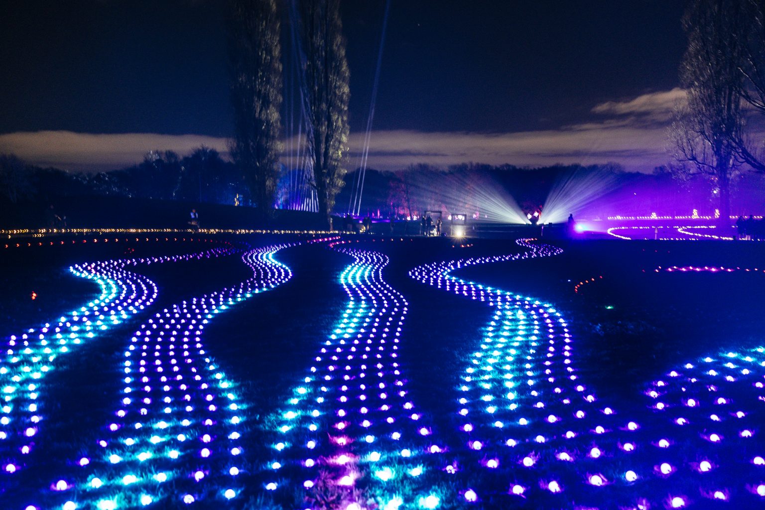 Home - Northern Lights Manchester