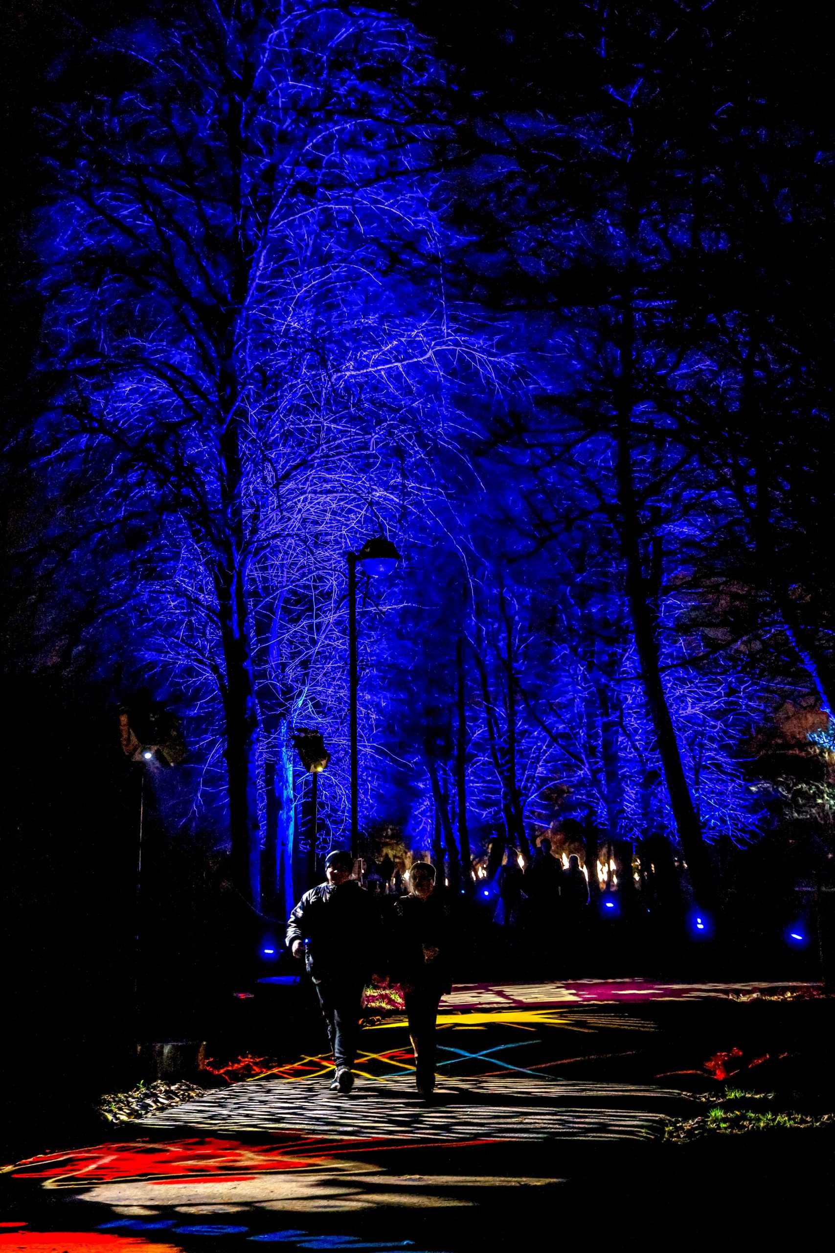 Access - Northern Lights Manchester