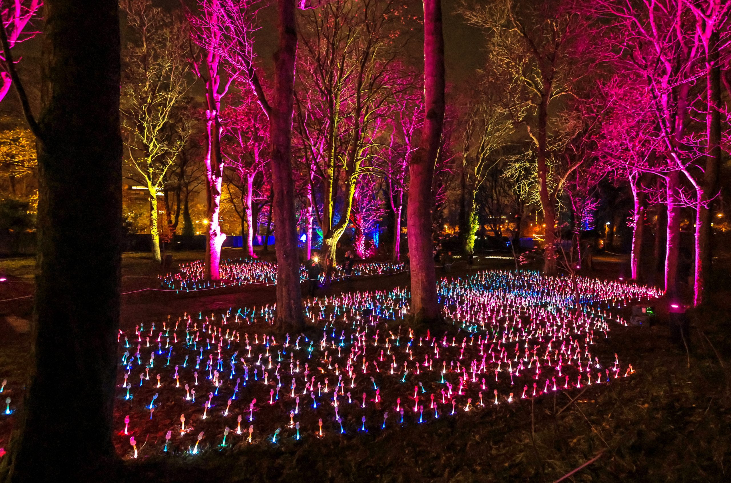 Home - Northern Lights Manchester